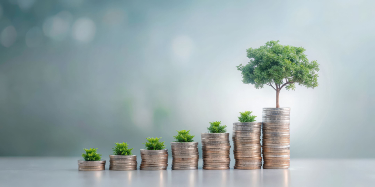 PFR Towarzystwo Funduszy Inwestycyjnych (PFR TFI)